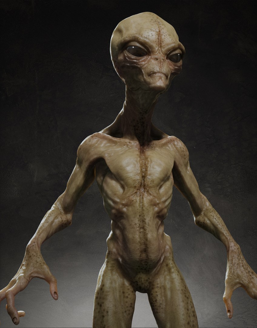3d Rigging Skin Model