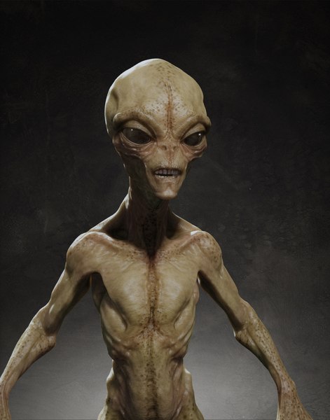 3d rigging skin model