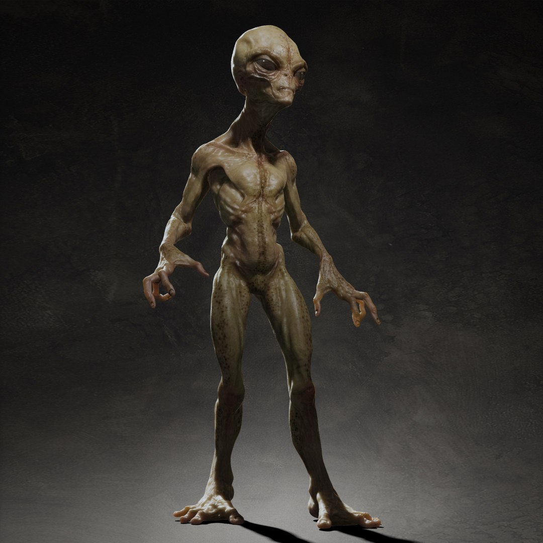 3d Rigging Skin Model