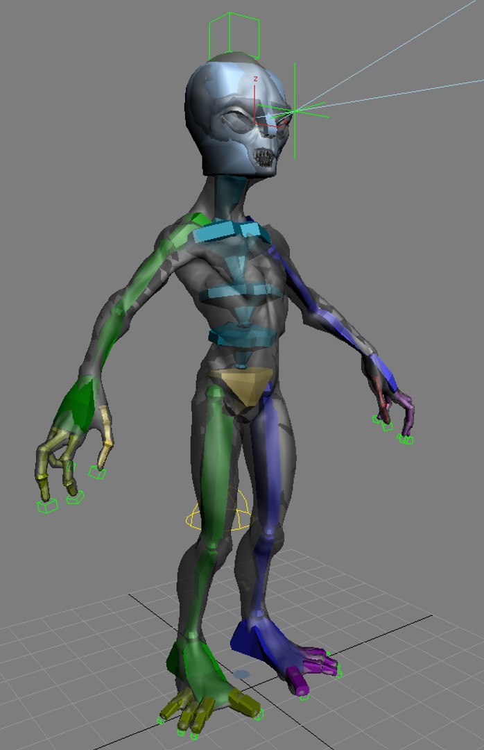 3d Rigging Skin Model