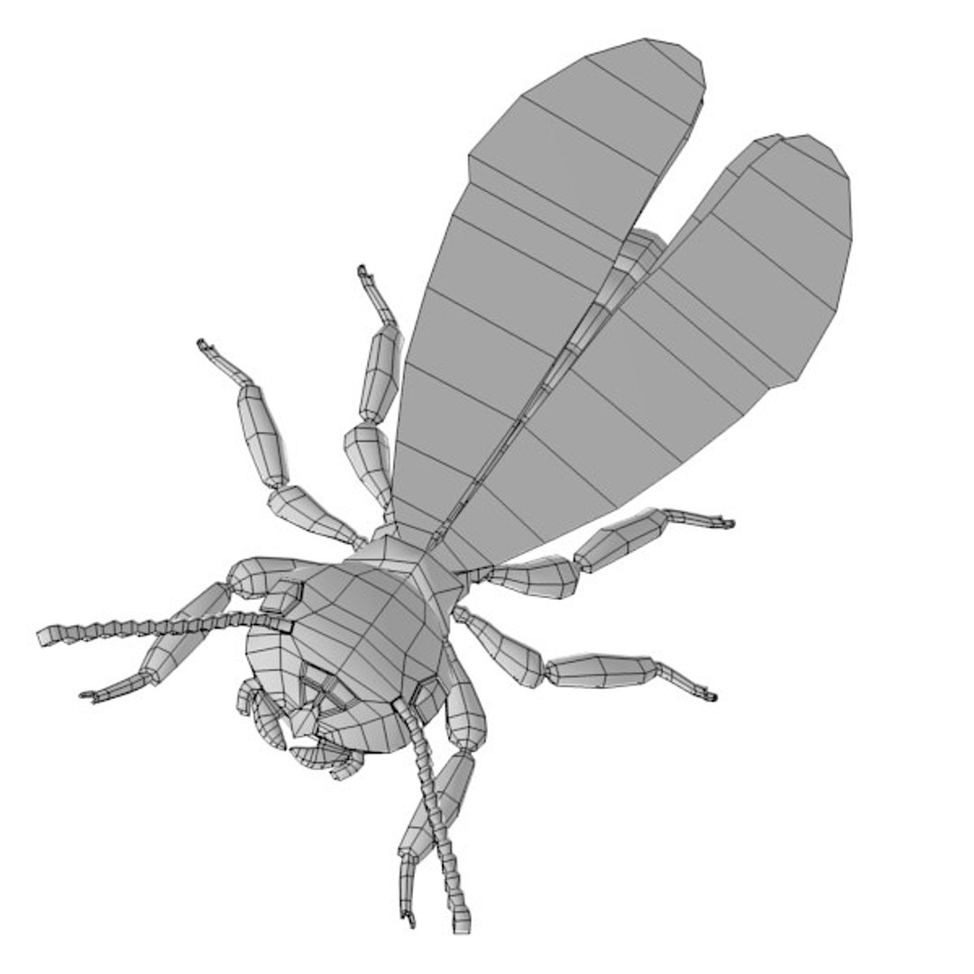 Termite Alate 3d Model