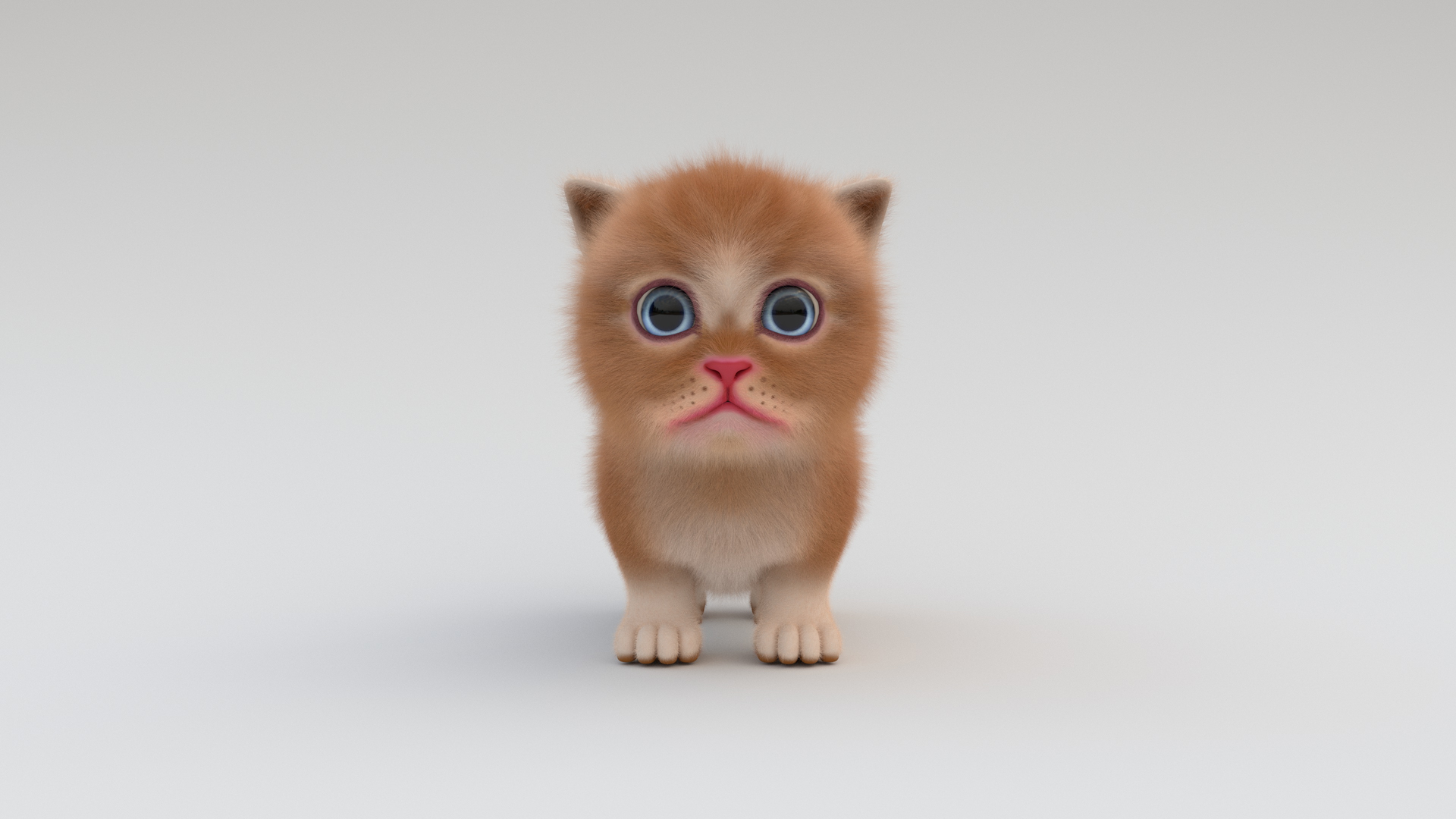 3D Model Cat - TurboSquid 1986505