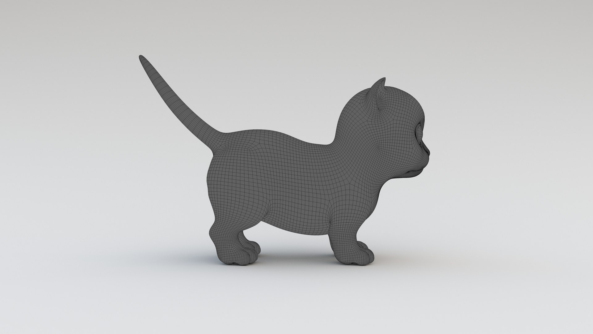 3D Model Cat - TurboSquid 1986505