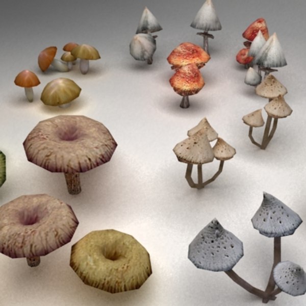 3d mushrooms model