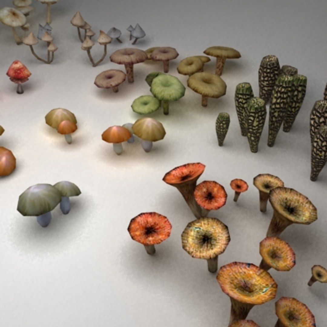 3d Mushrooms Model