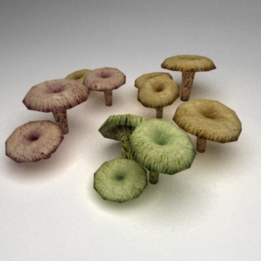 3d Mushrooms Model