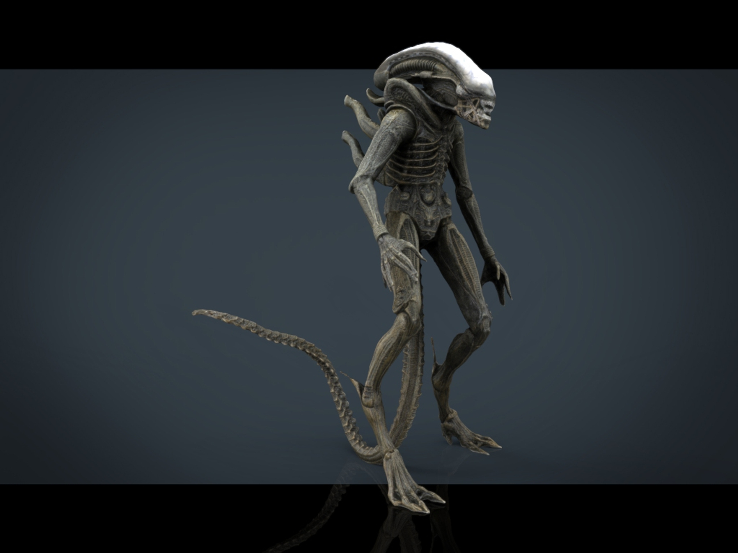 3D Model Alien Xenomorph - TurboSquid 1150394