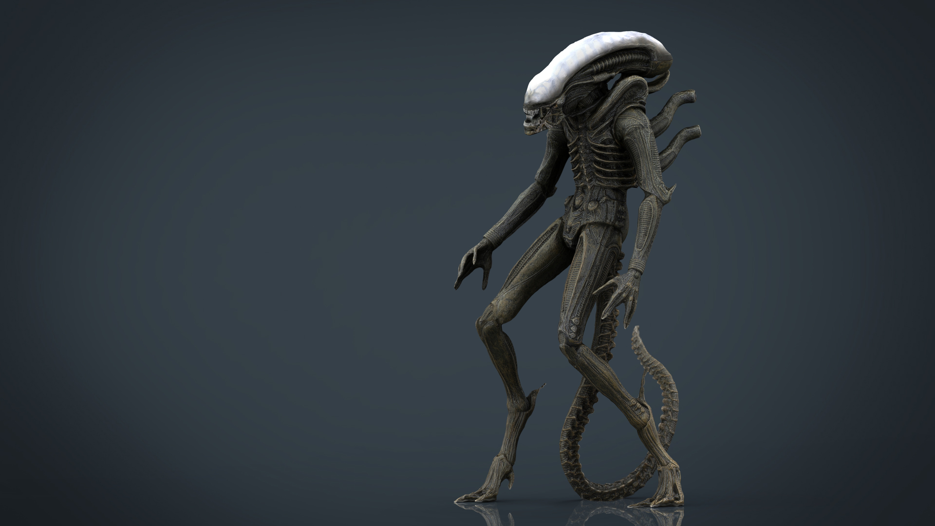 3D model alien xenomorph - TurboSquid 1150394