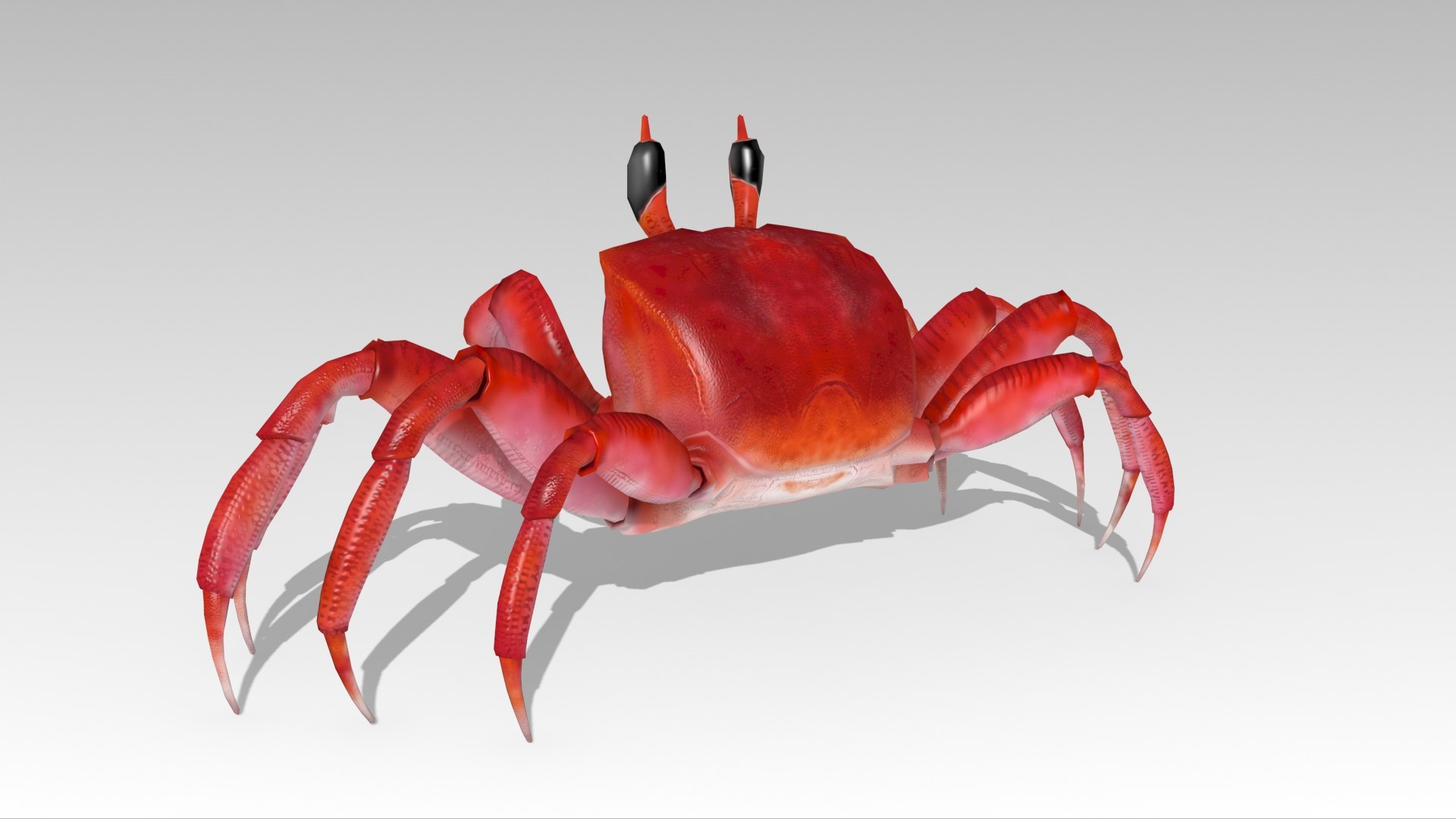 3D Crab - TurboSquid 2114825