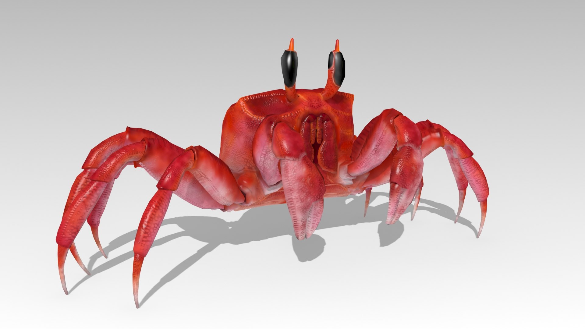3D Crab - TurboSquid 2114825