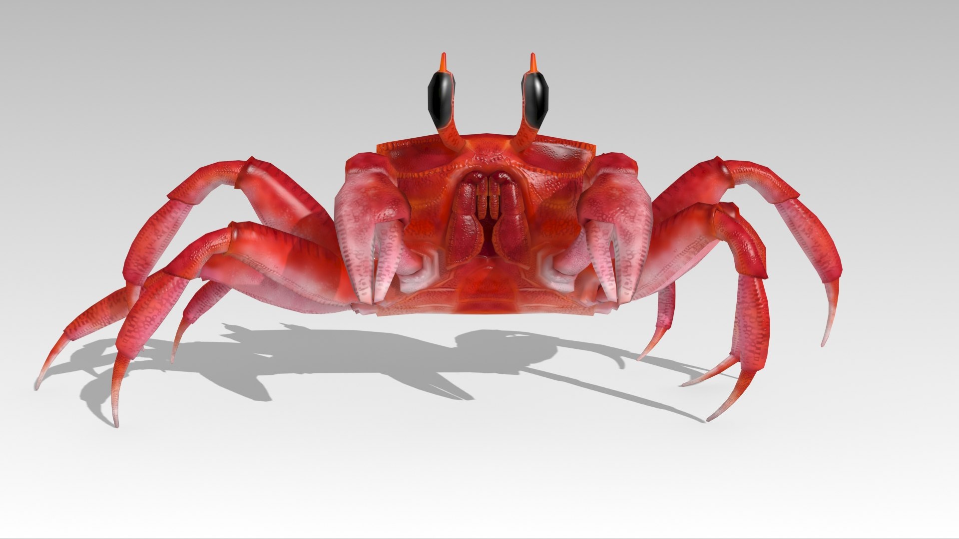 3D Crab - TurboSquid 2114825