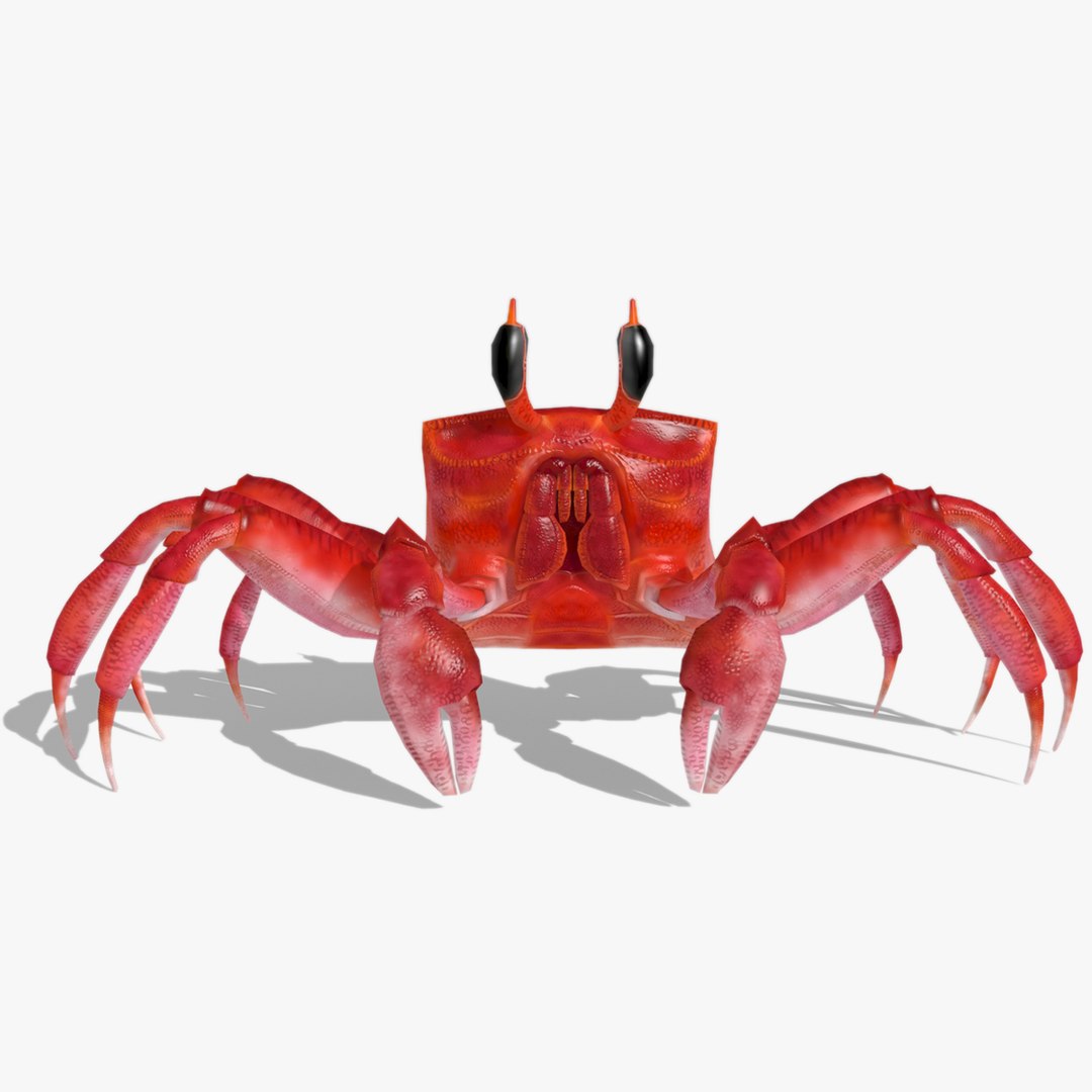 3D Crab - TurboSquid 2114825