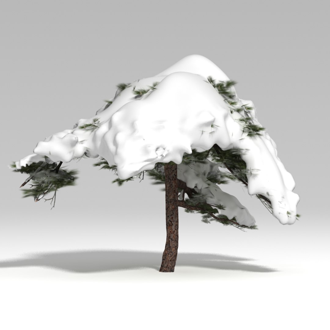 3d model snowtree tree snow