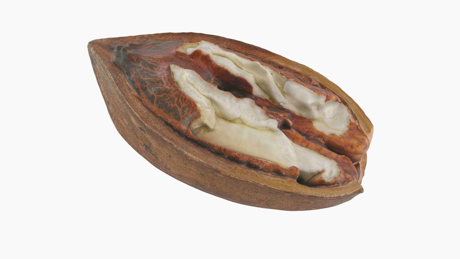 3D Model Pecan Nut Shell Open Collection - TurboSquid 2307447