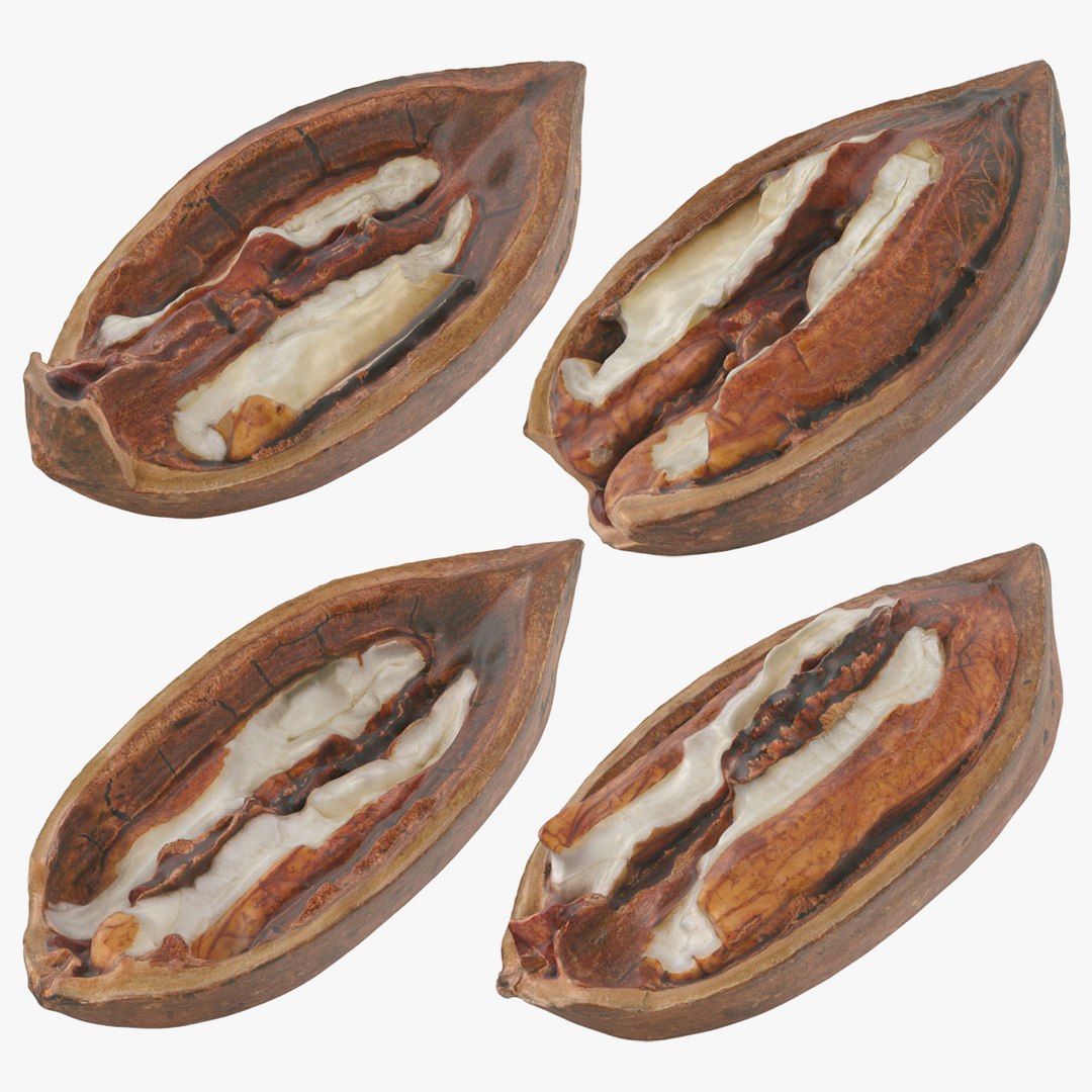3D Model Pecan Nut Shell Open Collection - TurboSquid 2307447