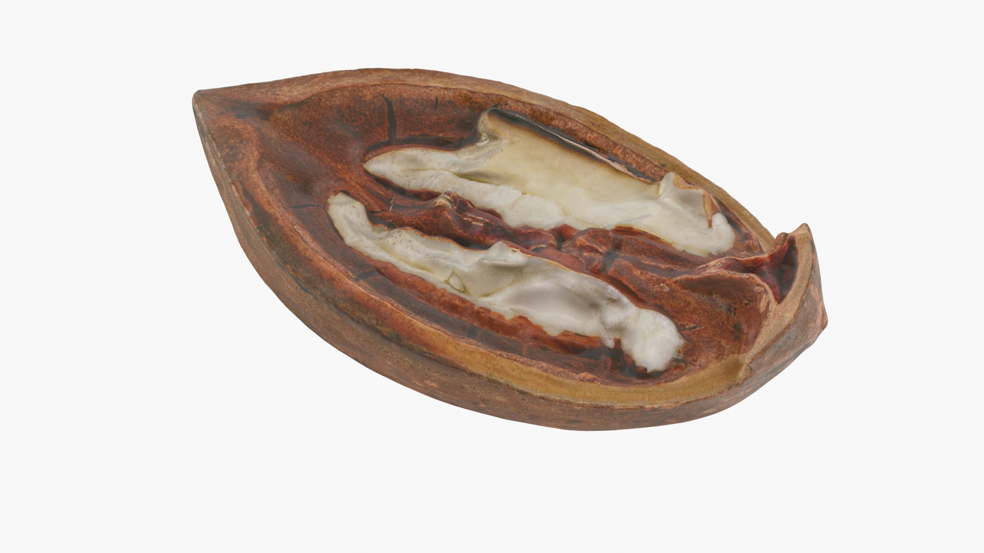 3D Model Pecan Nut Shell Open Collection - TurboSquid 2307447