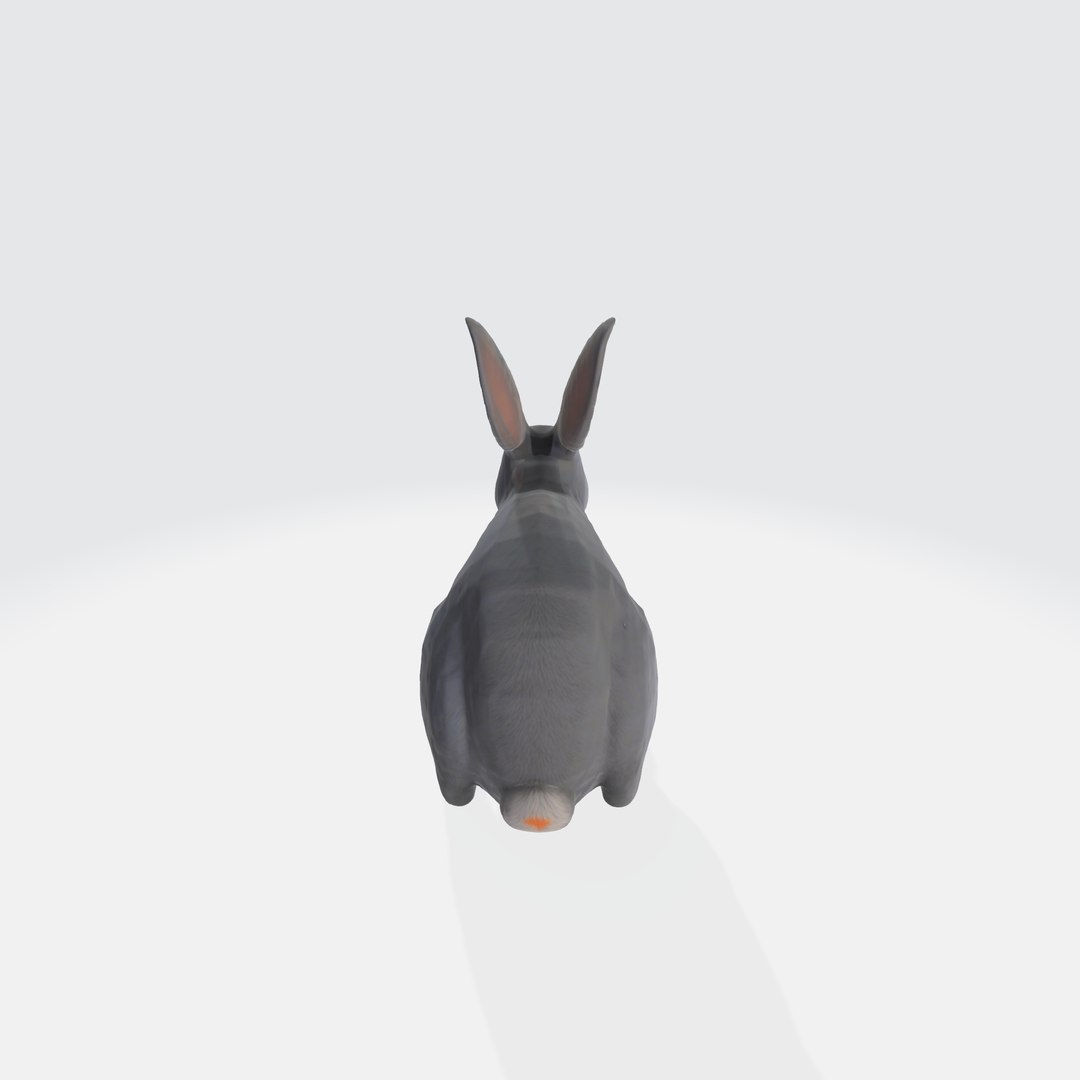 3D A Gray Rabbit With Large Ears Model - TurboSquid 2262759
