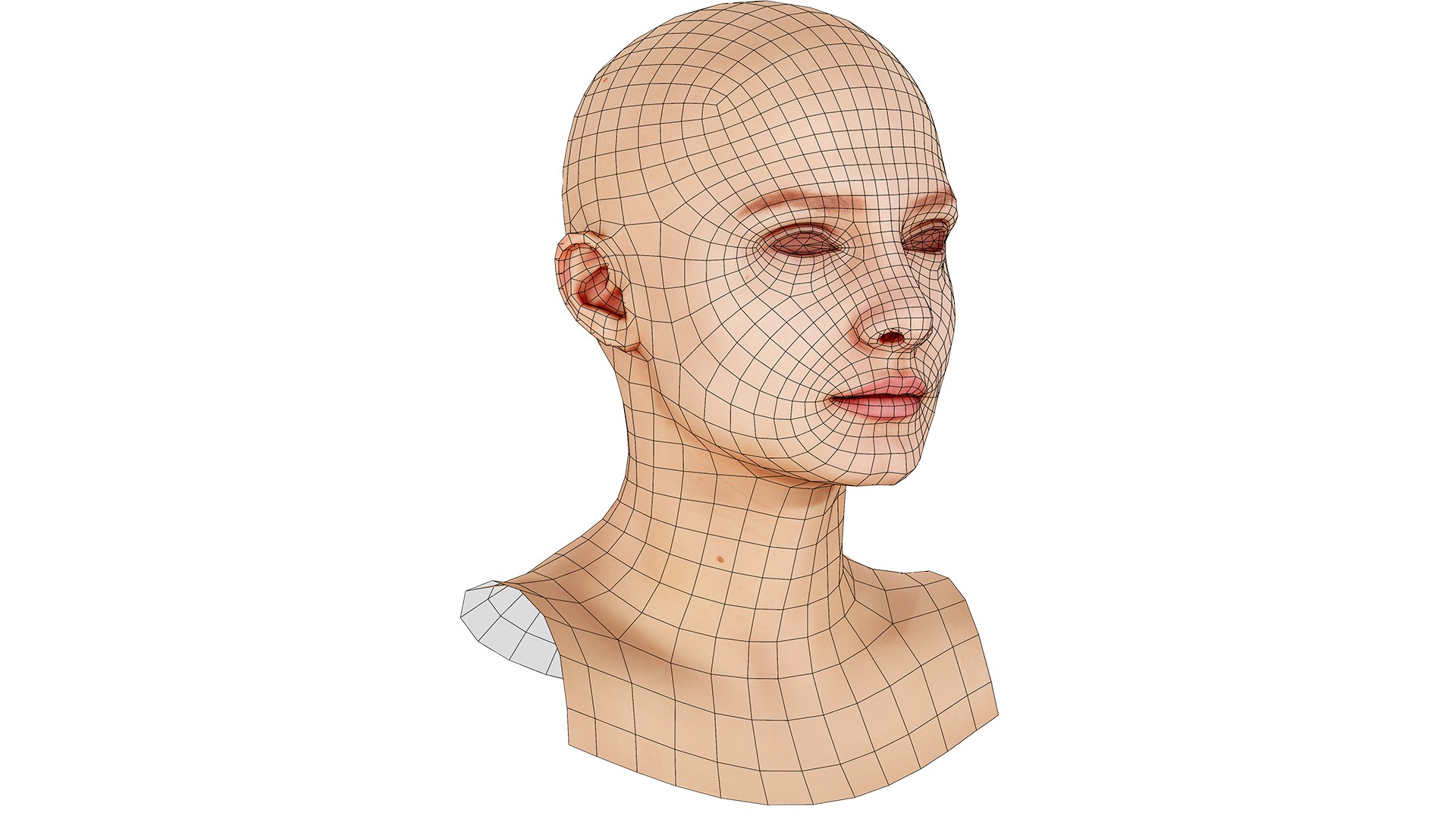 3D Retopologized Head Scan Lucy Evans - TurboSquid 1801027