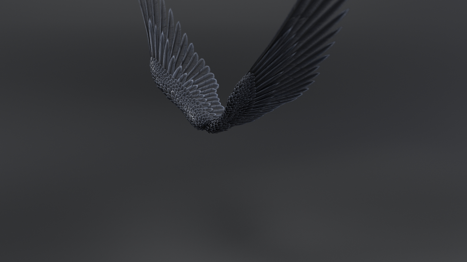 Angel Wings Pro Rigged model - TurboSquid 2177000