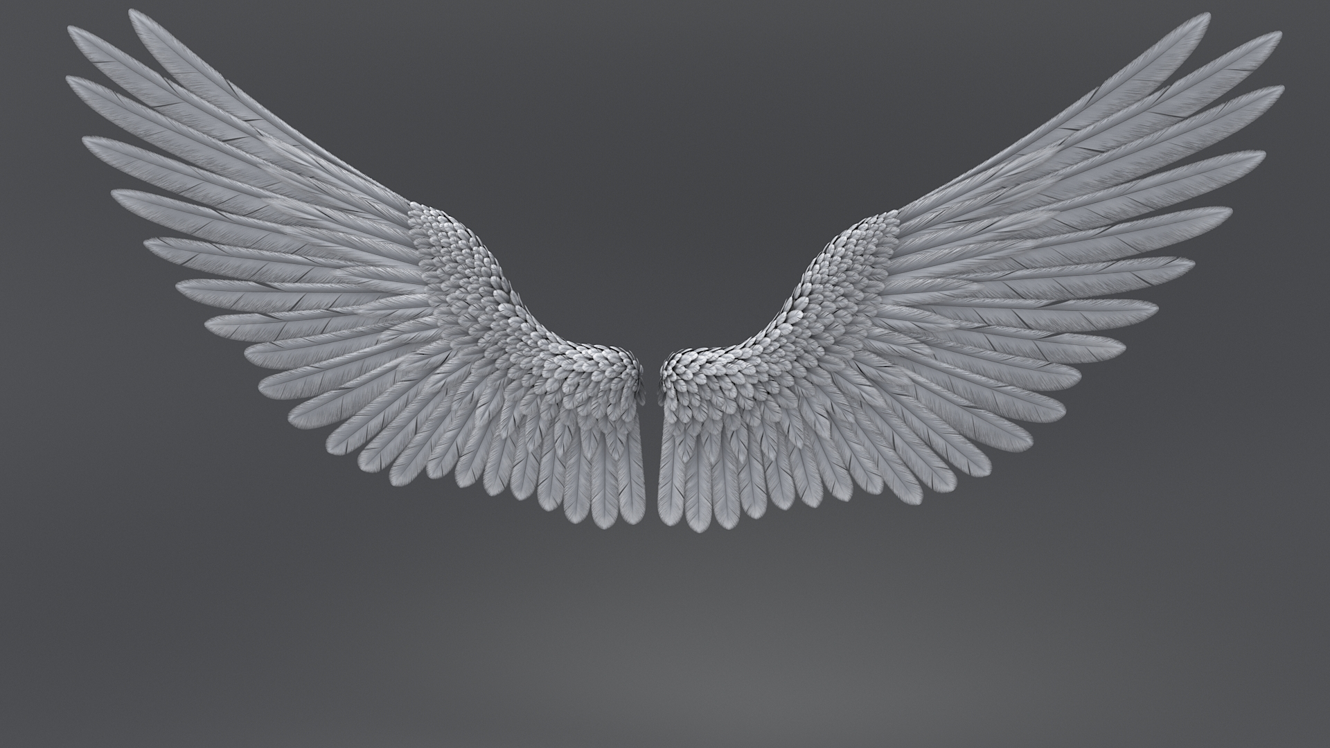 Angel Wings Pro Rigged model - TurboSquid 2177000