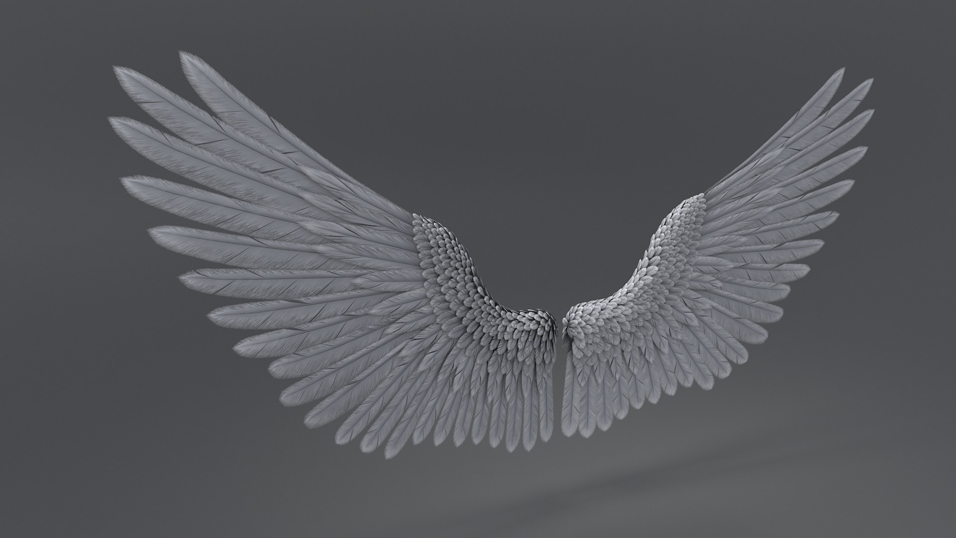 Angel Wings Pro Rigged model - TurboSquid 2177000