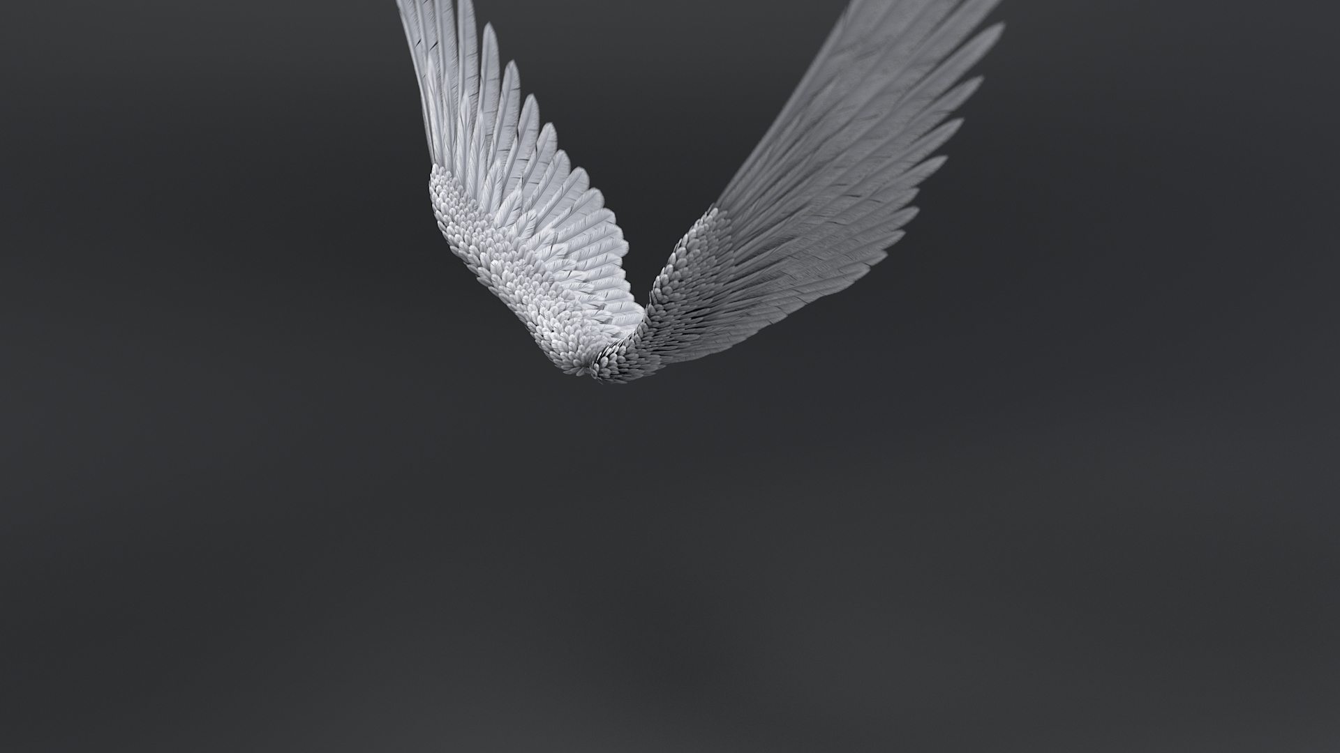 Angel Wings Pro Rigged model - TurboSquid 2177000