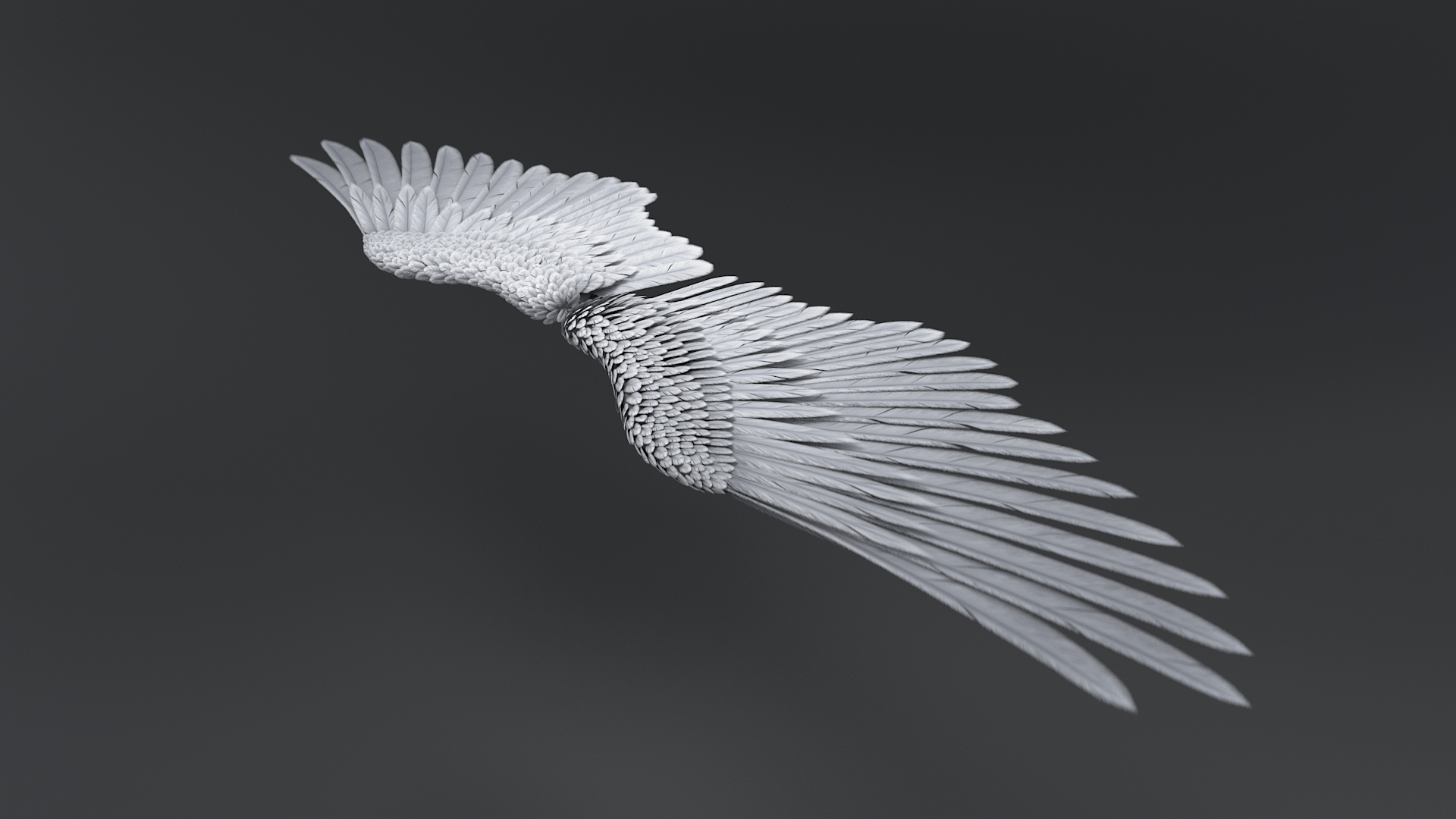 Angel Wings Pro Rigged model - TurboSquid 2177000