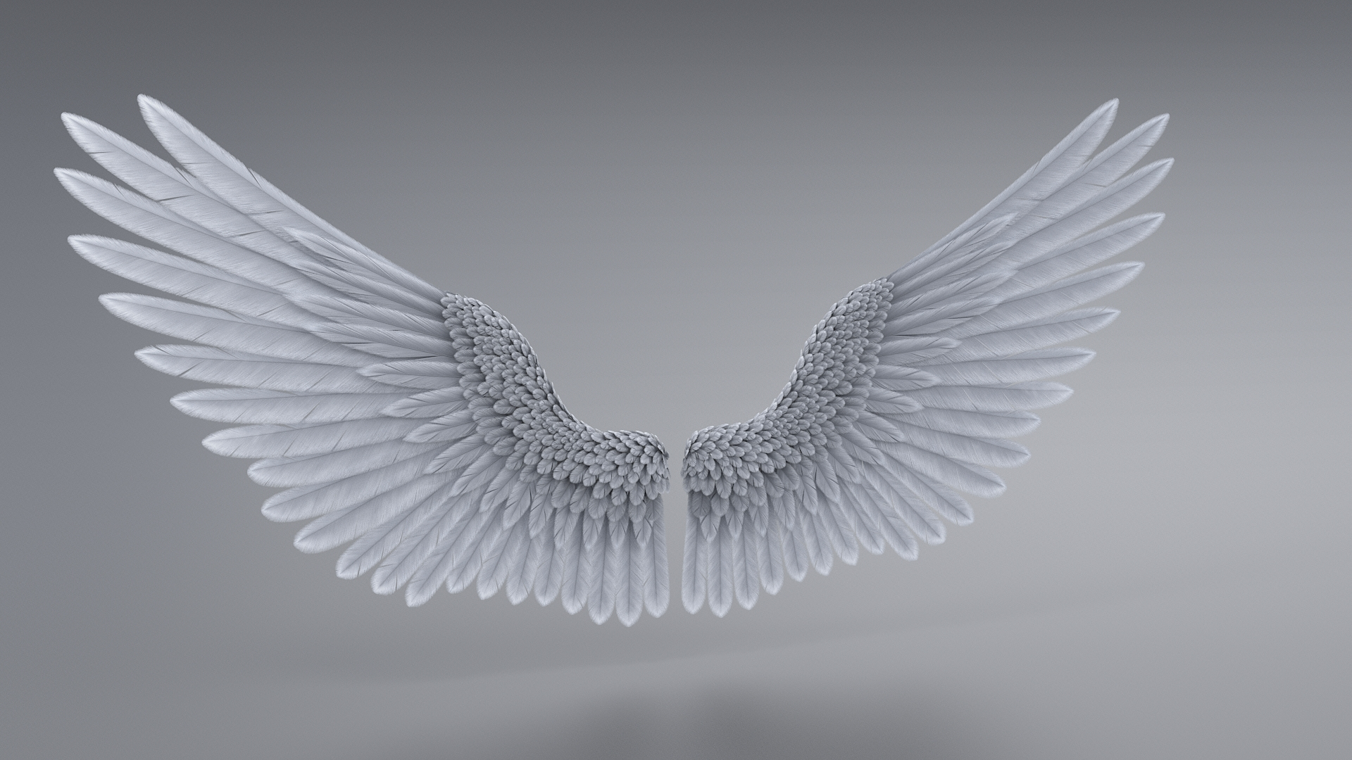 Angel Wings Pro Rigged model - TurboSquid 2177000