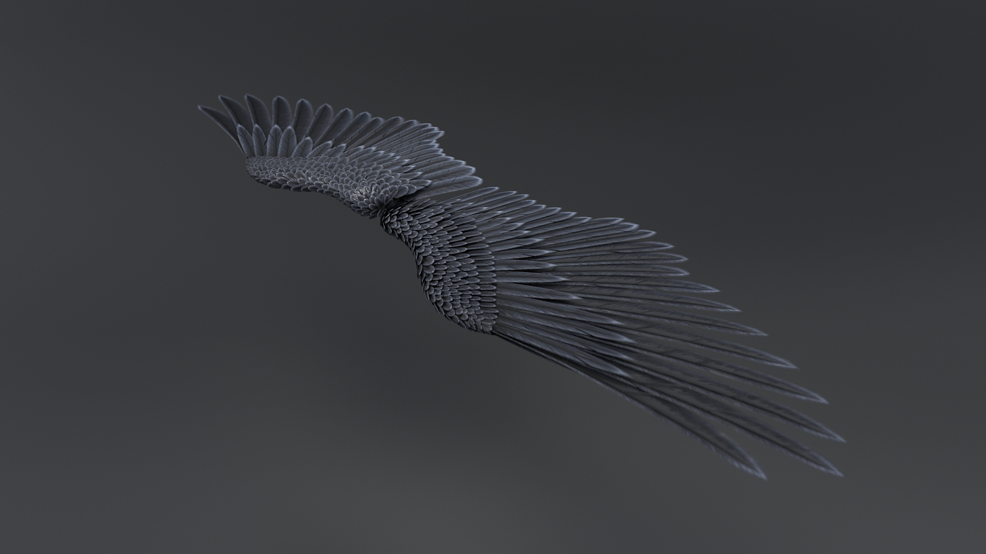 Angel Wings Pro Rigged model - TurboSquid 2177000