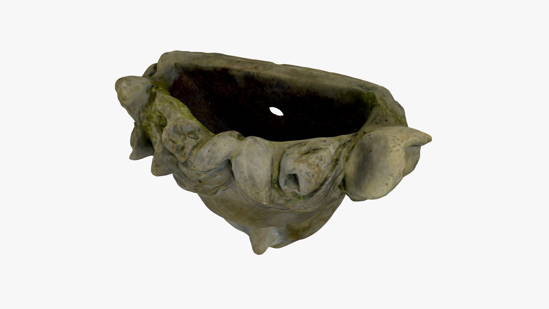 Wall Mounted Plant Pot model - TurboSquid 2069473