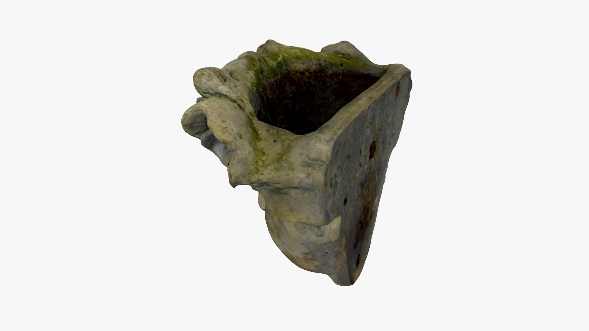 Wall Mounted Plant Pot model - TurboSquid 2069473
