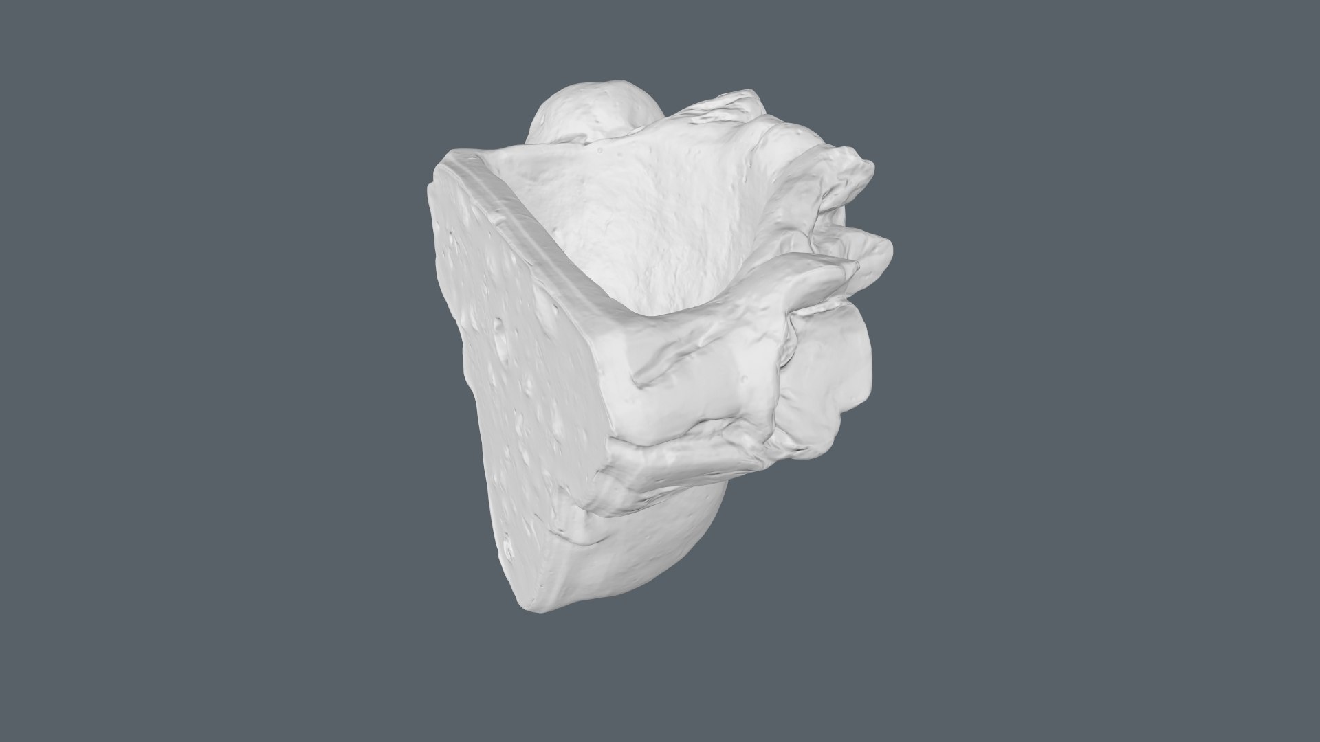 Wall Mounted Plant Pot model - TurboSquid 2069473