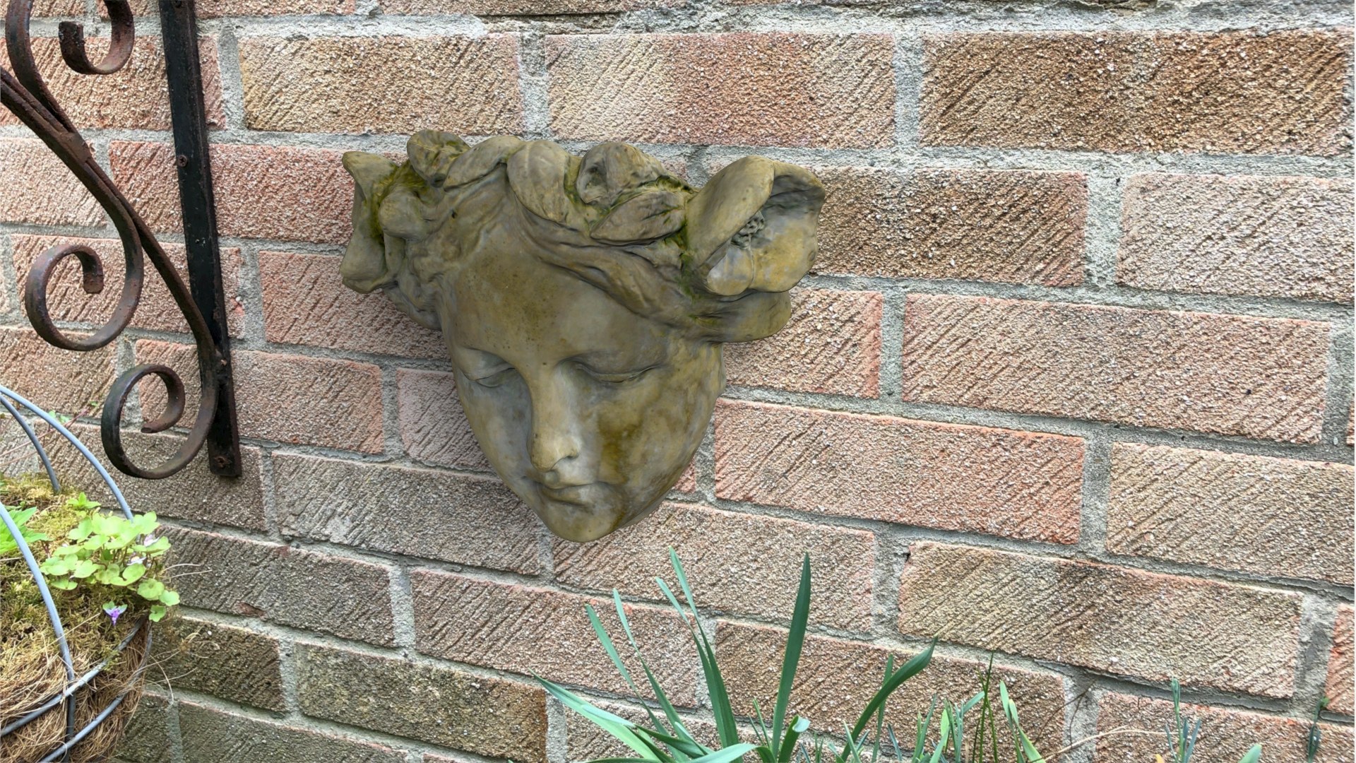 Wall Mounted Plant Pot model - TurboSquid 2069473