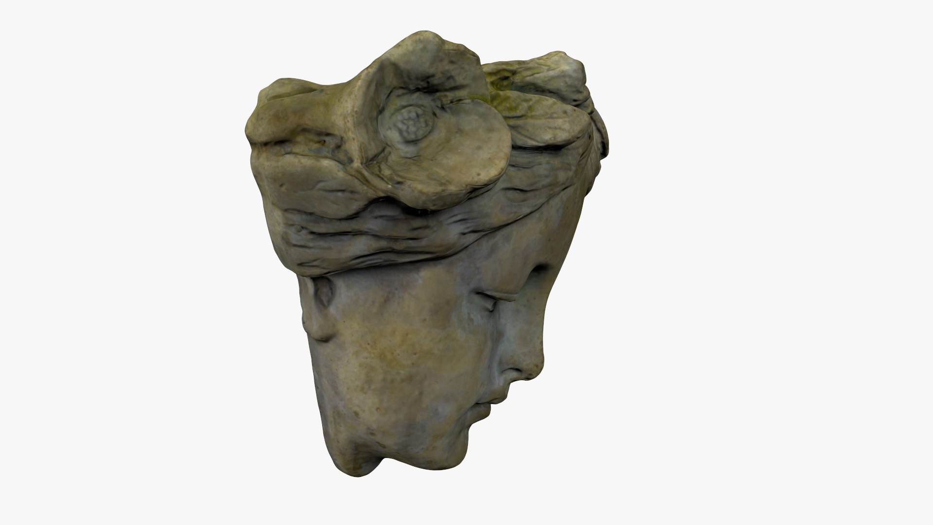 Wall Mounted Plant Pot model - TurboSquid 2069473