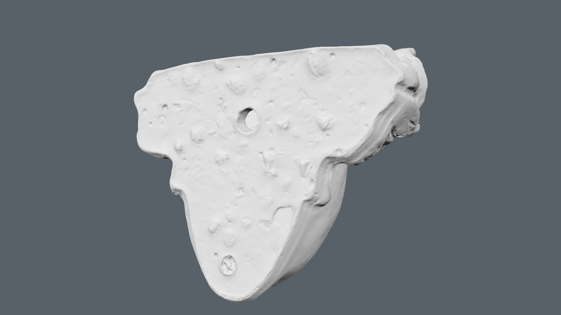 Wall Mounted Plant Pot model - TurboSquid 2069473