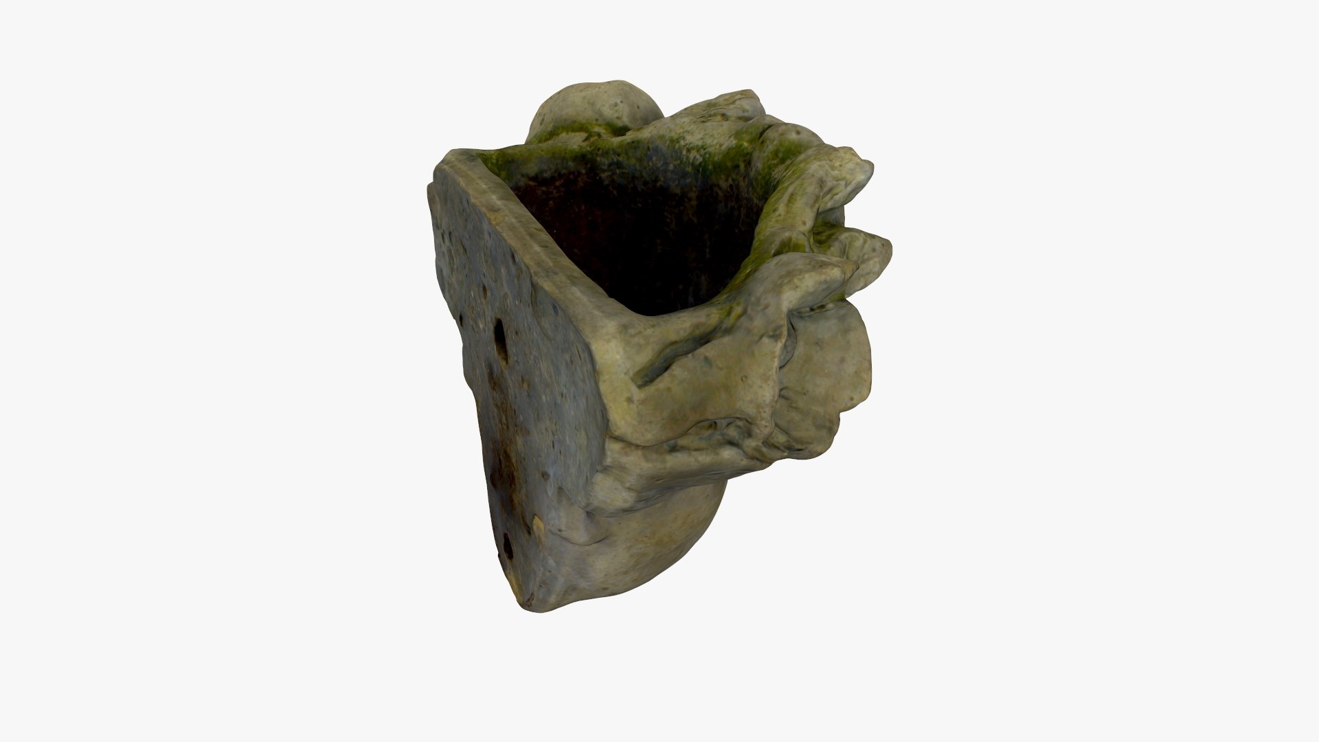 Wall Mounted Plant Pot model - TurboSquid 2069473