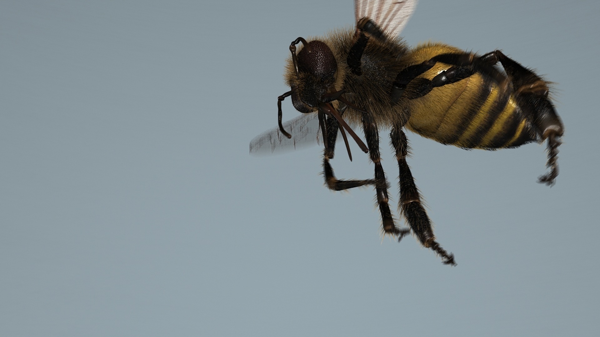 Maya Honeybee Fur Animation