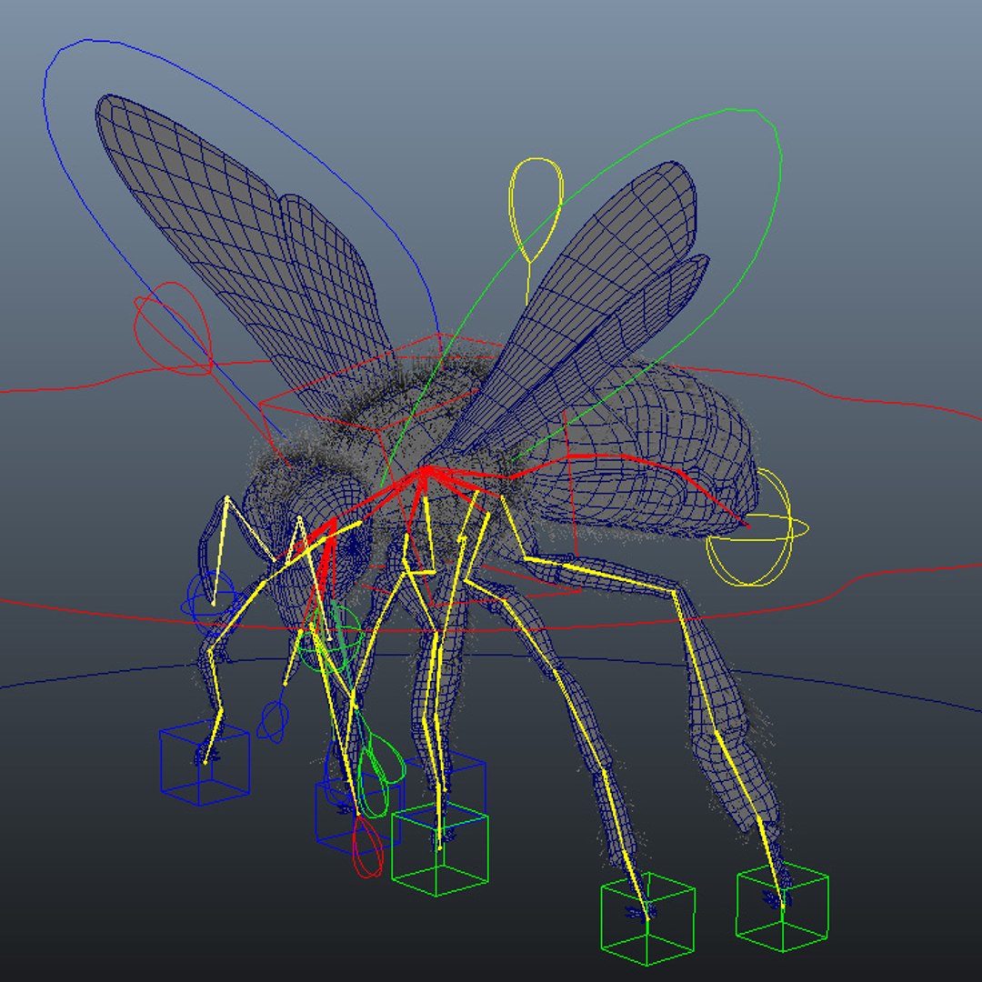 Maya Honeybee Fur Animation
