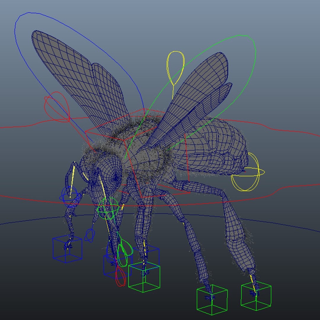 Maya Honeybee Fur Animation