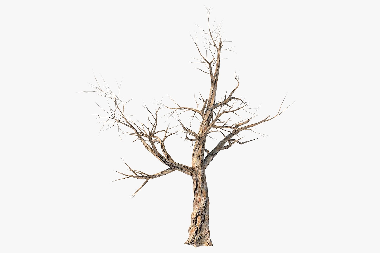 Pack Dead Tree 3D Model - TurboSquid 1280748
