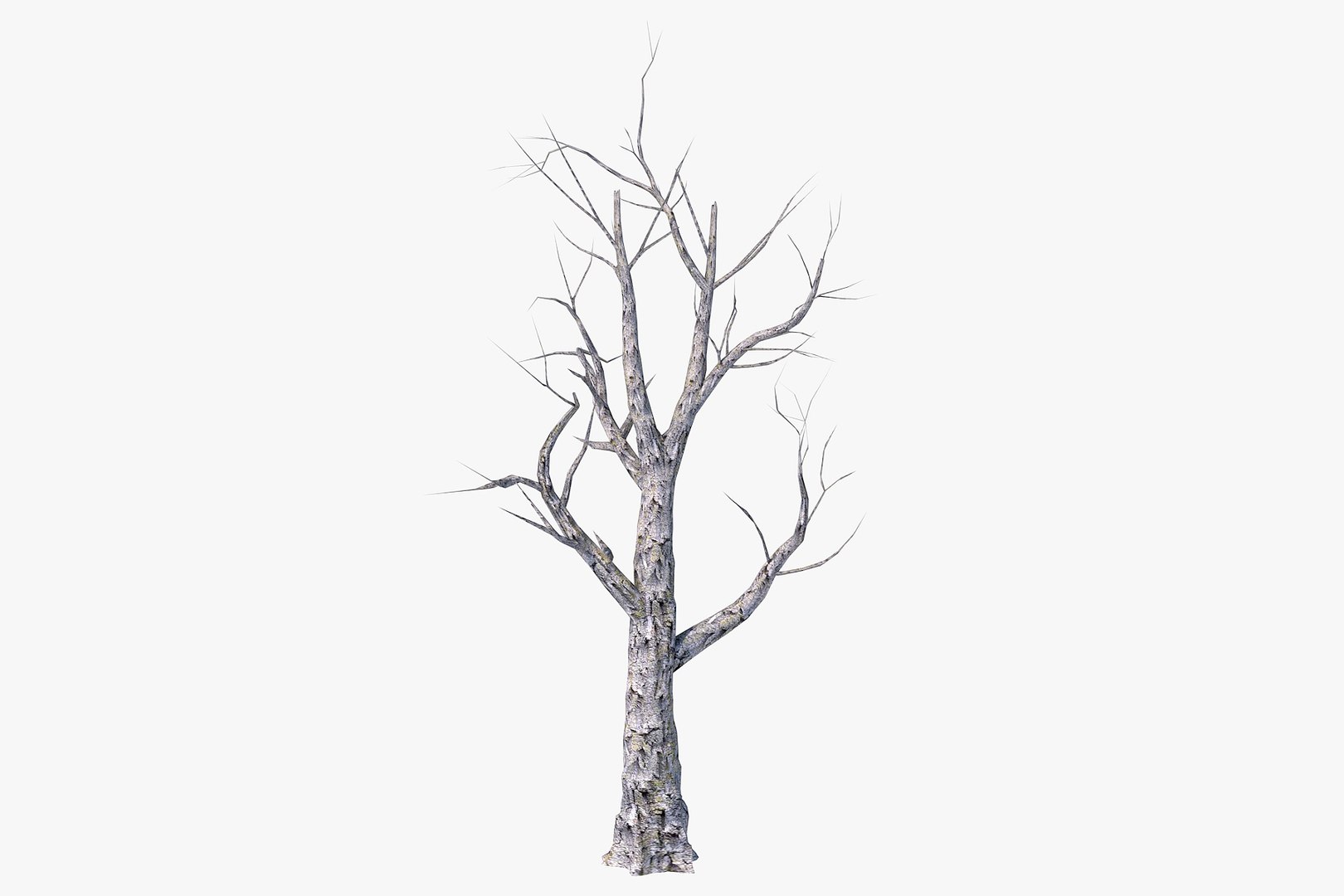 Pack Dead Tree 3D Model - TurboSquid 1280748