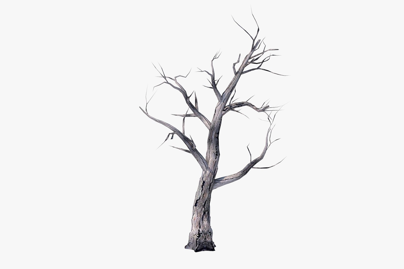 Pack Dead Tree 3D Model - TurboSquid 1280748