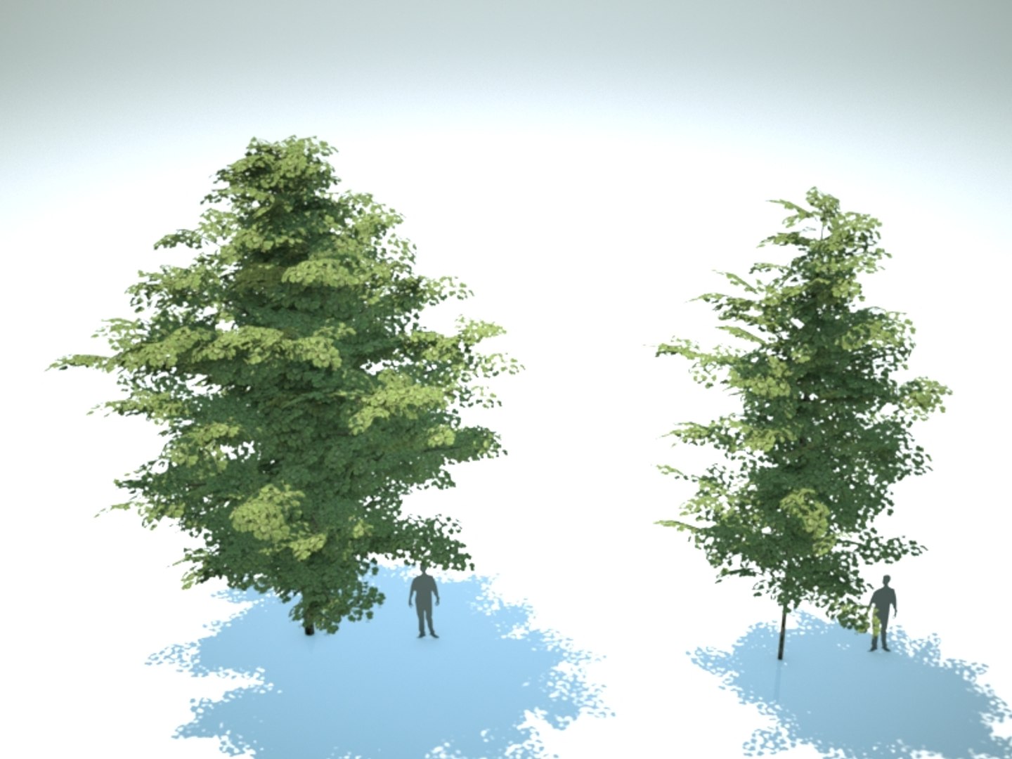 3d Trees Arch Gpu Model