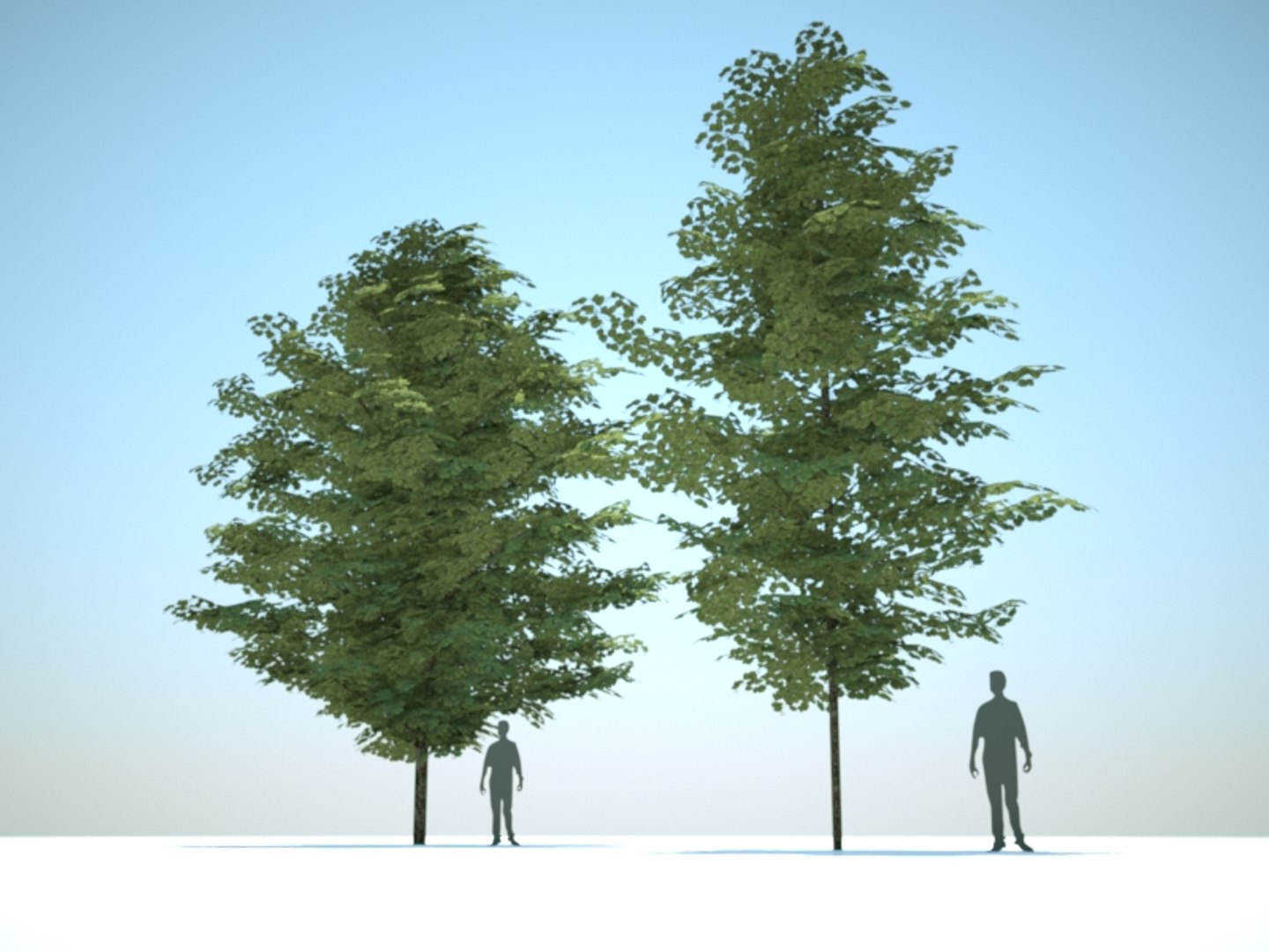 3d Trees Arch Gpu Model