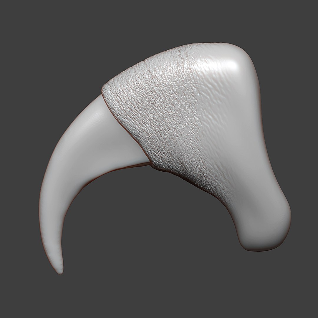 3D Cat Claw Highpoly Sculpt - TurboSquid 1815083
