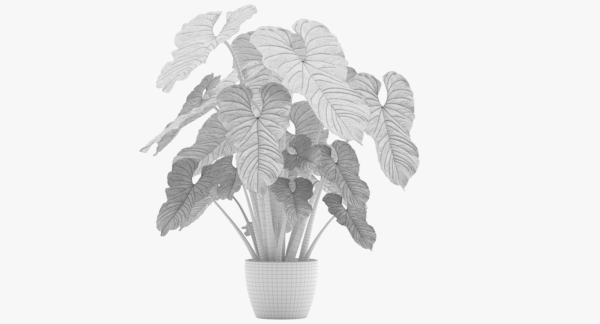 Tropical Leaves 3D Model - TurboSquid 1279697