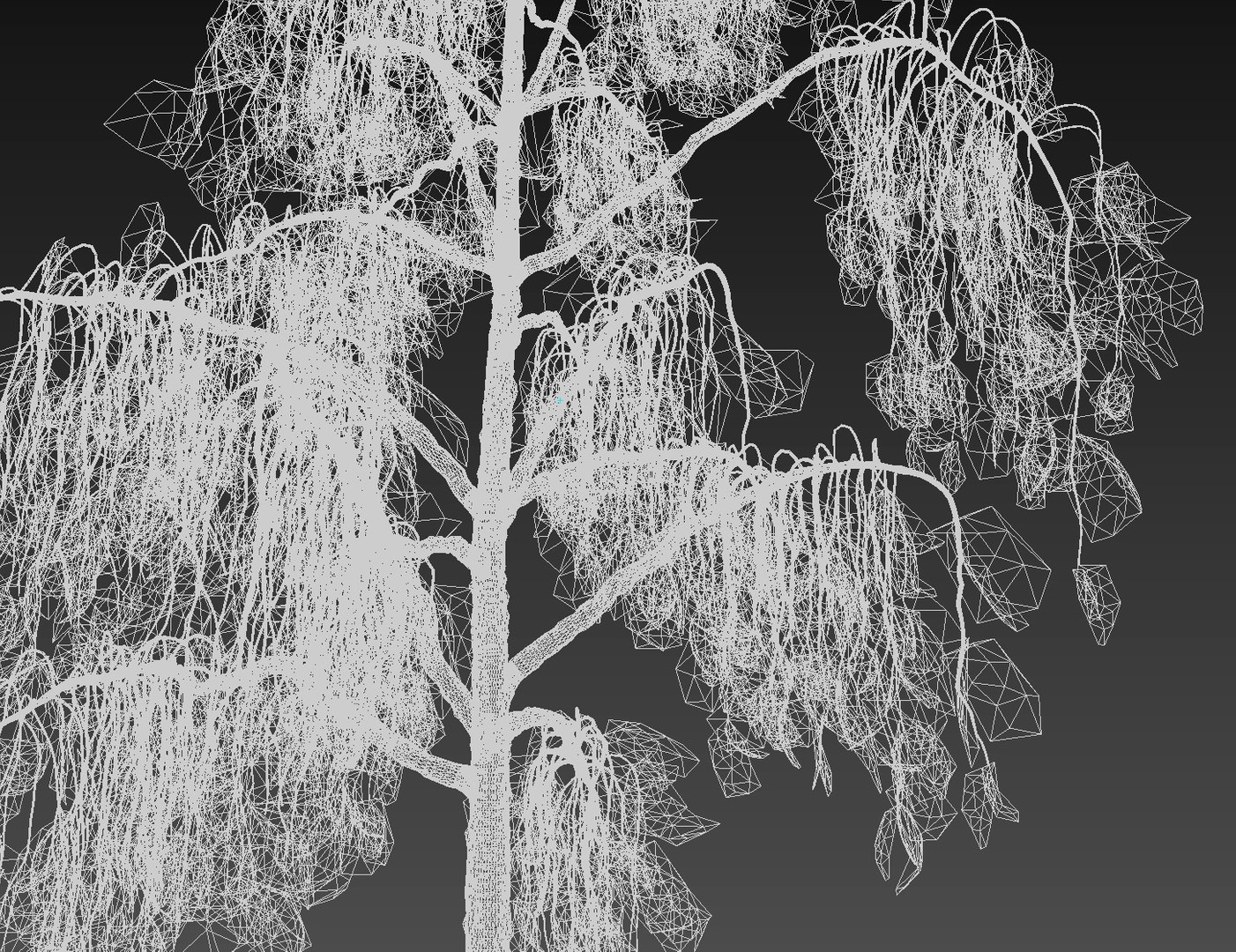 3D Tree Scanned Model - TurboSquid 1307677