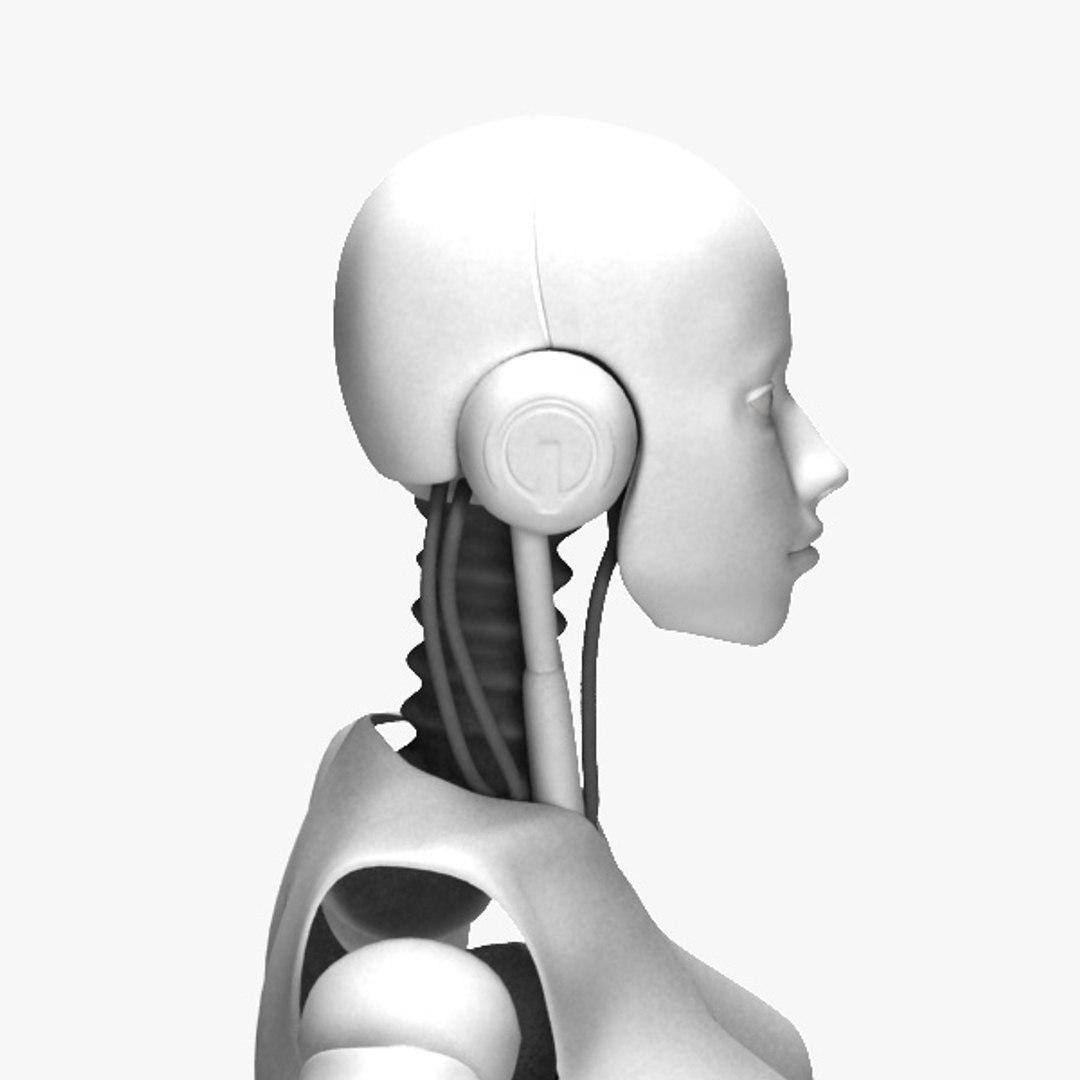 Female Character 3d Model