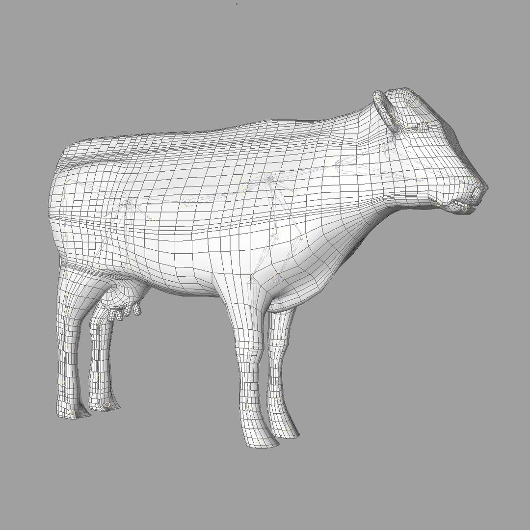 3D Base Mesh Cow Rigged - TurboSquid 1151150
