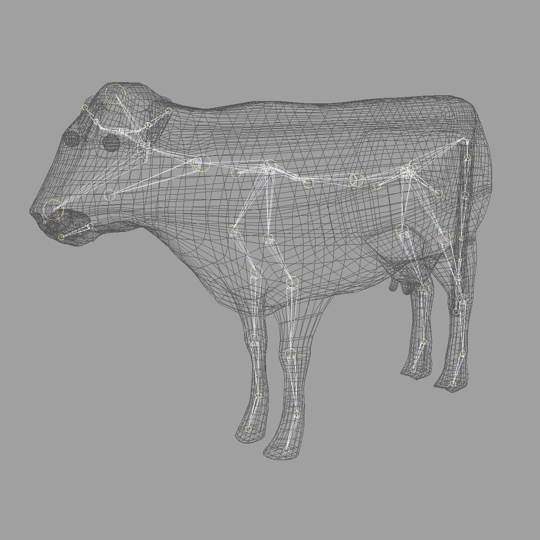 3D Base Mesh Cow Rigged - TurboSquid 1151150